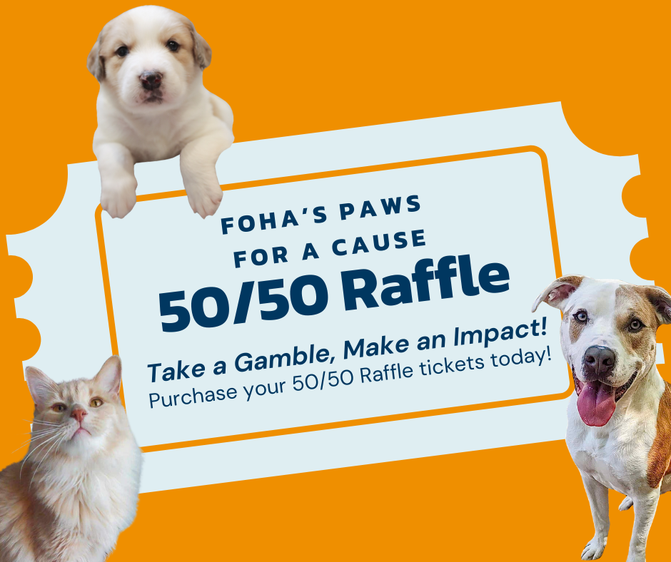 50/50 Raffle - 4 Tickets - Friends of Homeless Animals Paws for a Cause
